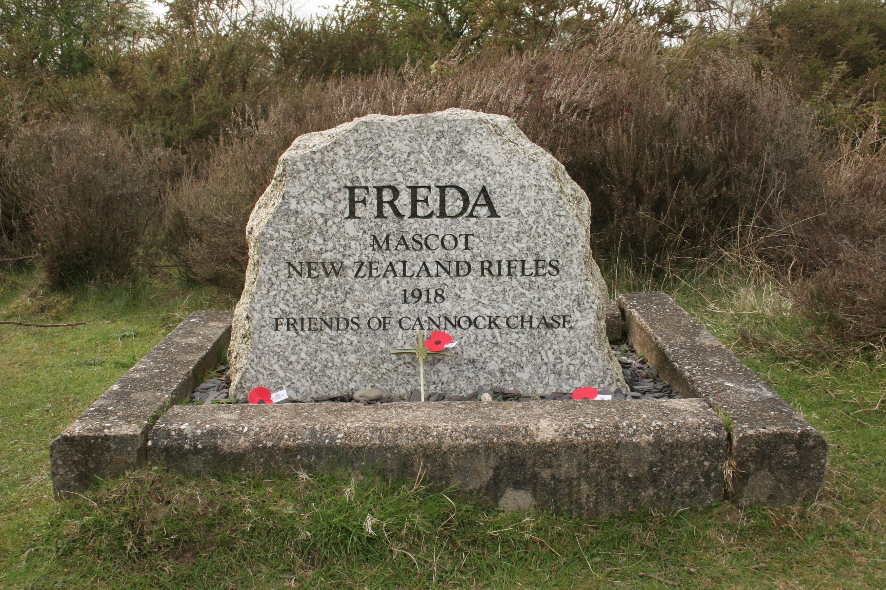 Freda: WWI Military Mascot | National Army Museum