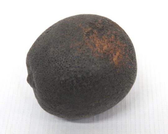 100 Year Old Lemon | National Army Museum